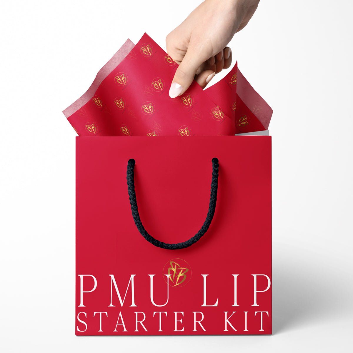 PMU Lip Starter Kit – BARANSKA BEAUTY